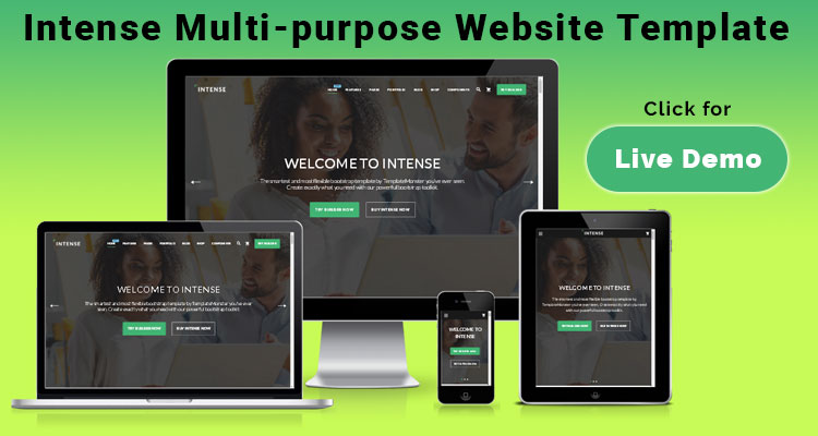 Intense Multipurpose Website Template